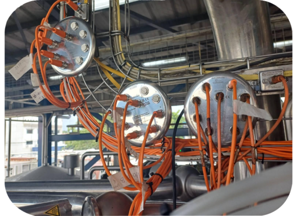 Project Profiles – Iprocess